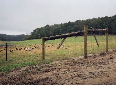 H-brace Construction For Your Permanent Fence Line - Countryside